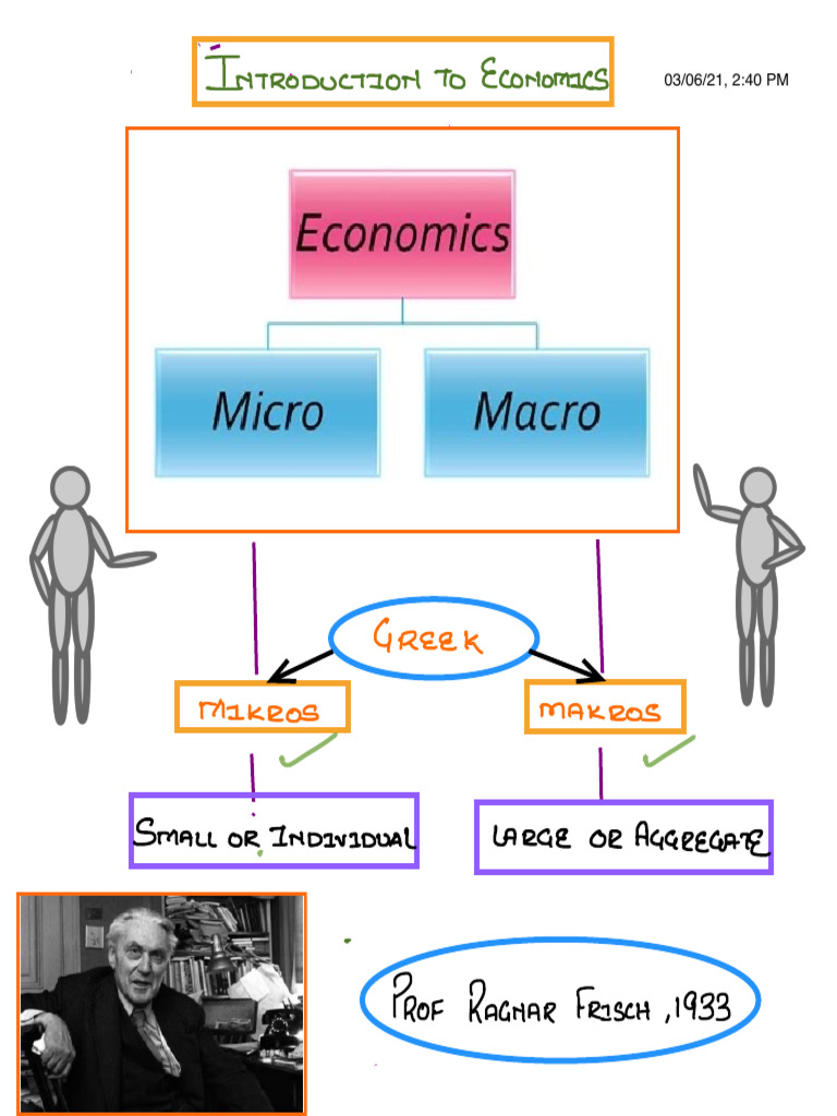 Micro & Macro | PDF