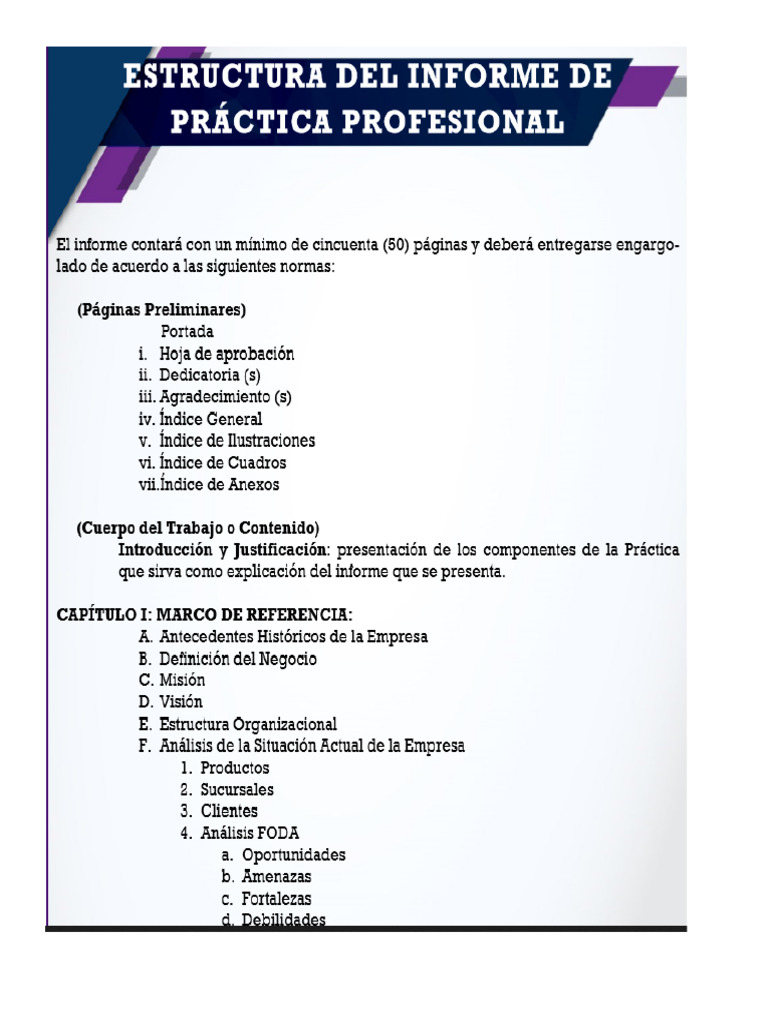 Estructura de Informe de Practica Profesional | PDF
