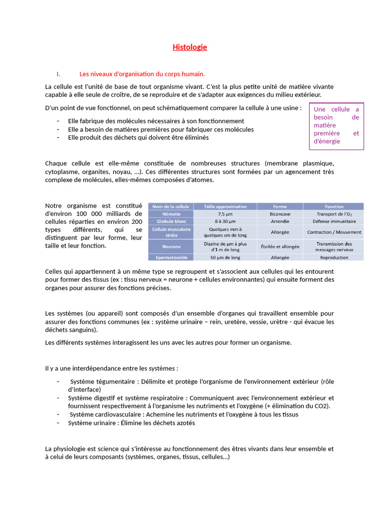 Organisation et types de tissus humains | PDF | Myéline | Épithélium