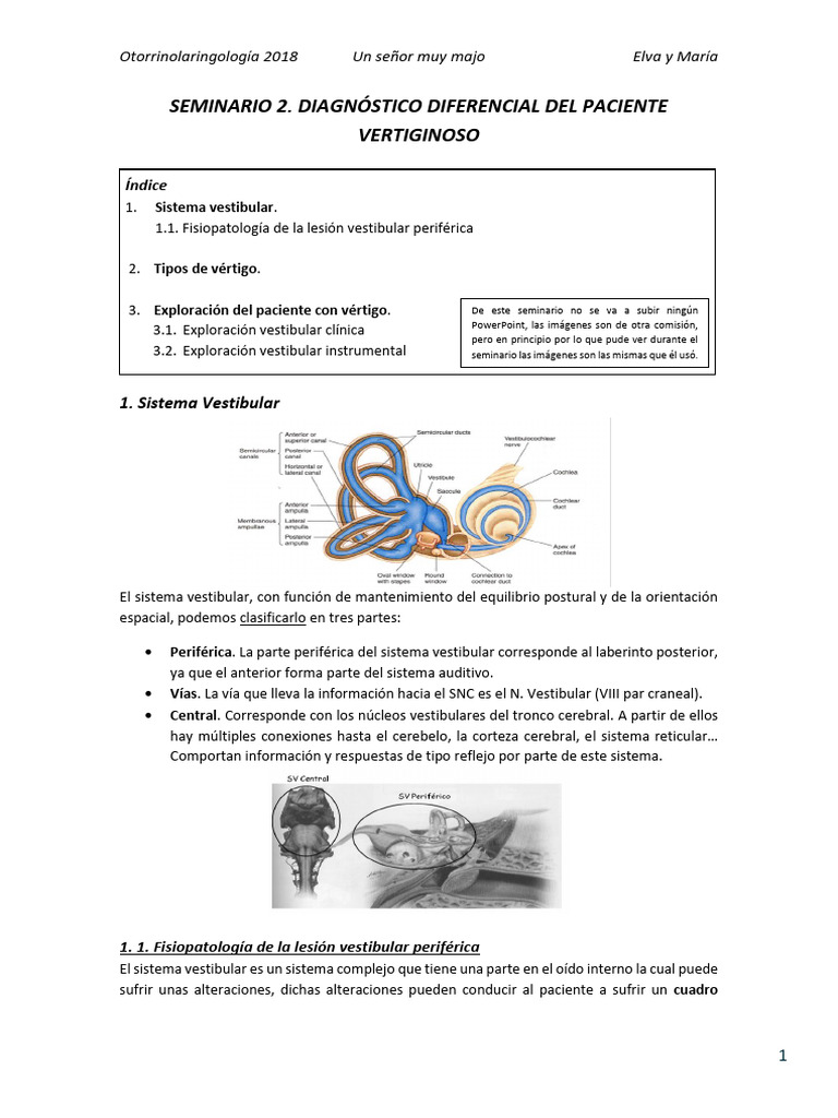 Diagnóstico Diferencial del Vértigo | PDF | Vértigo | Tinnitus
