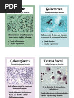 Histologia, Paaf y Células Mamarias | PDF | Epitelio | Biopsia