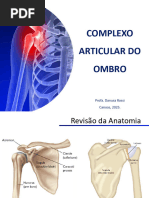 Articulação Do Ombro (Glenoumeral) Anatomia e Músculos Kenhub | PDF ...