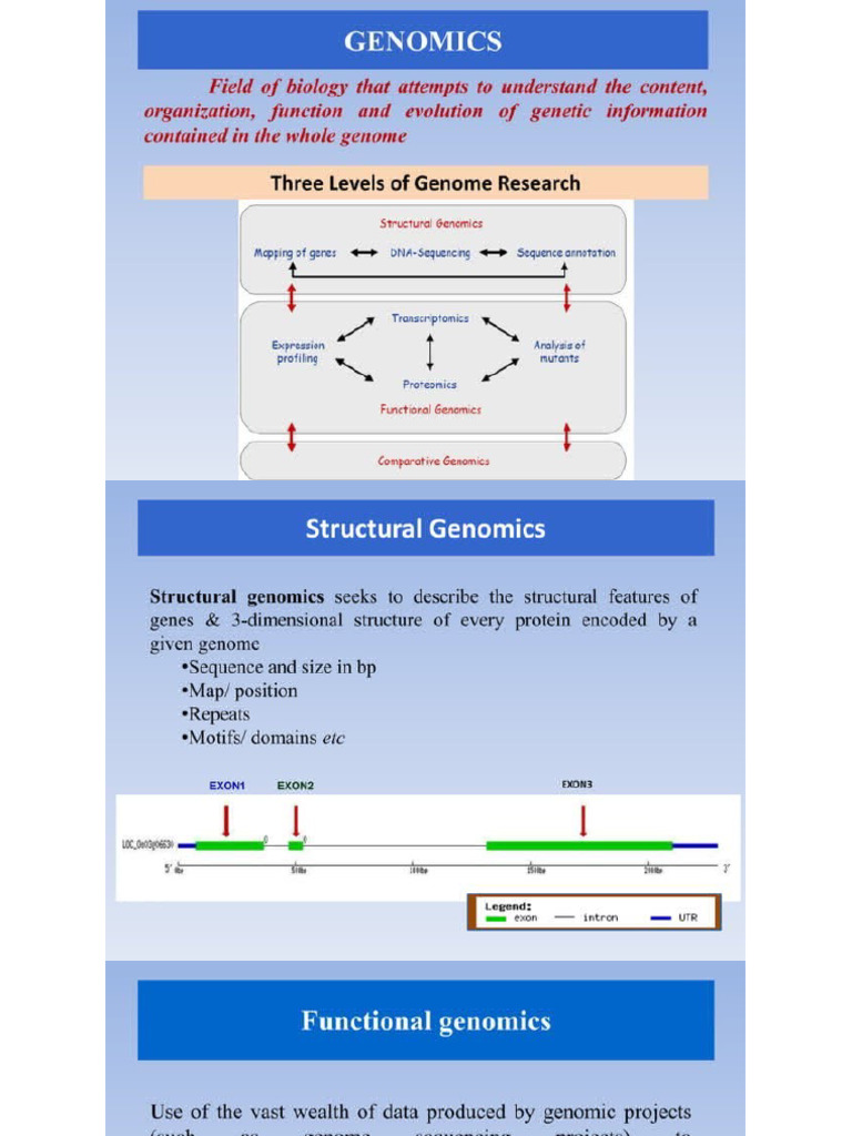 Comparative Genomics | PDF