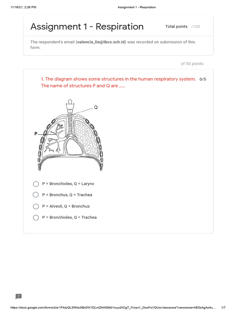 Human Respiratory System Assignment | PDF | Respiratory System ...