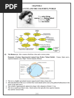 Grade 12 Life Science The Eye | PDF | Eye | Myopia