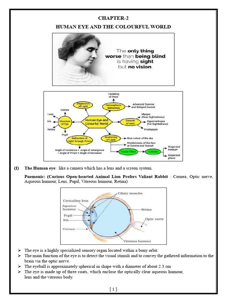 Human Eye Anatomy and Vision Defects | PDF | Eye | Rainbow
