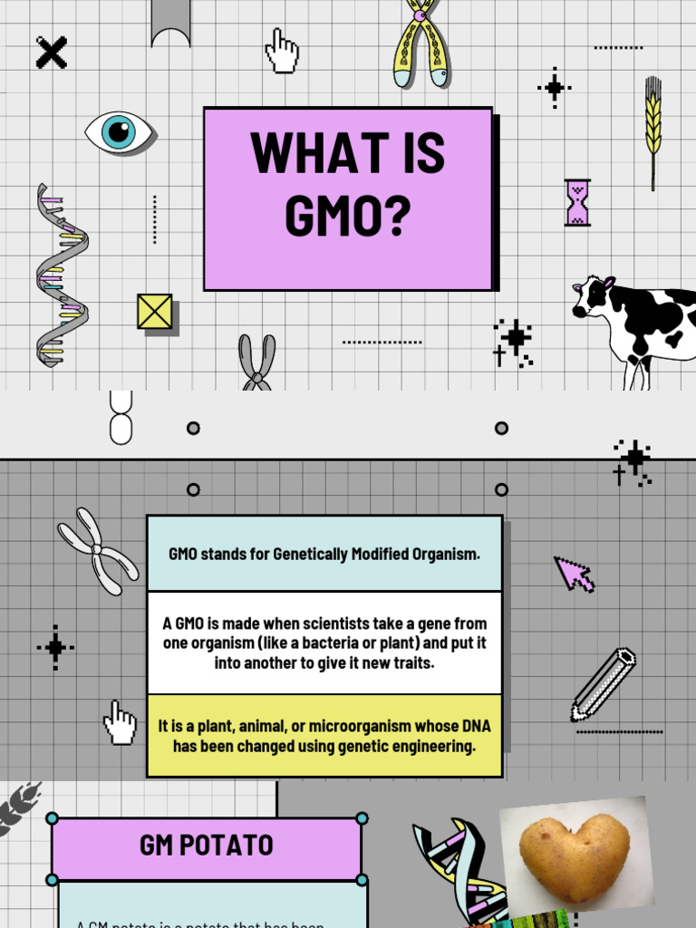 What Is GMO - 20250630 - 131814 - 0000 | PDF | Genetic Engineering | Potato