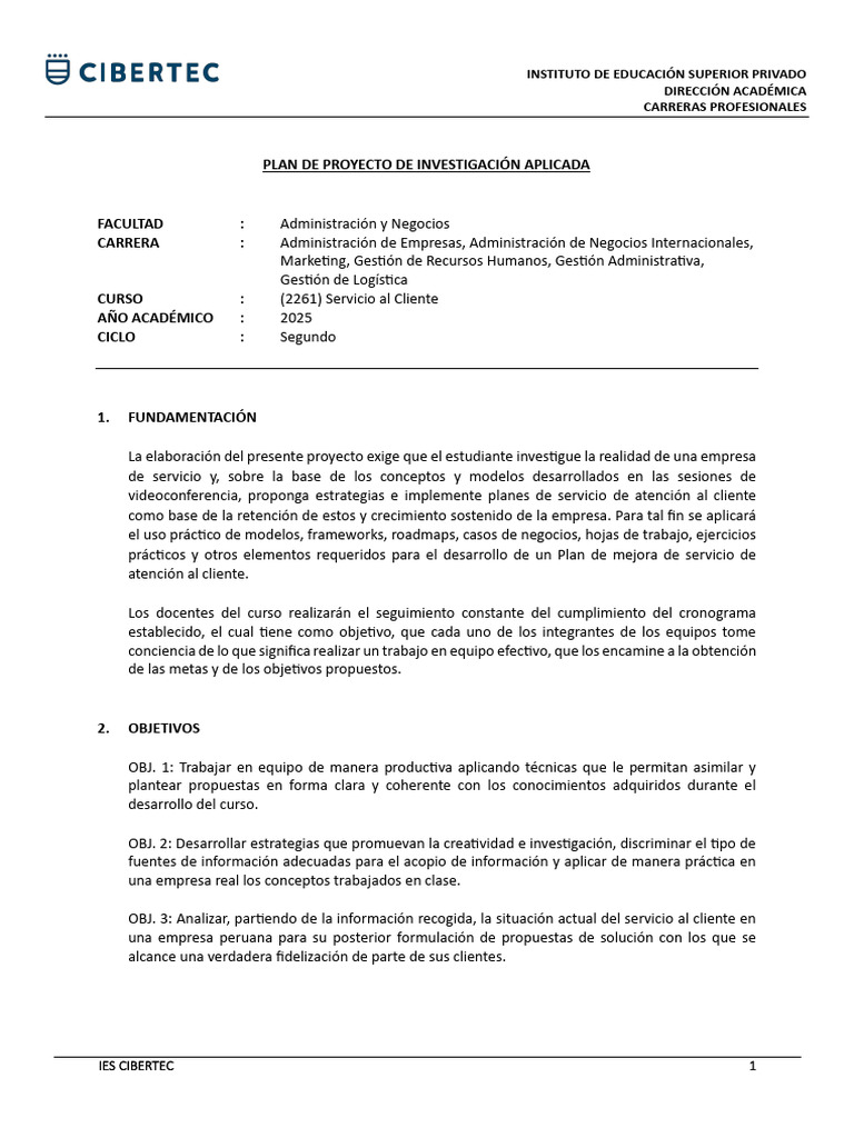 Proyecto 4690 Jul2025 | PDF | Business | Marketing