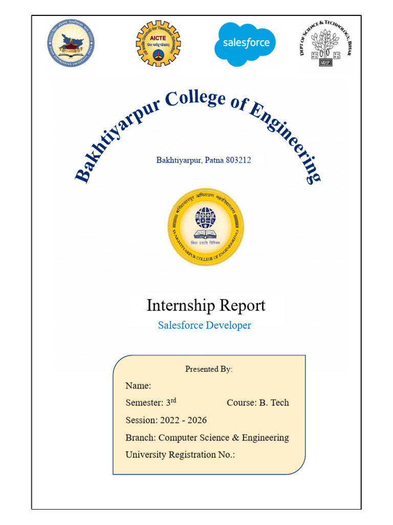 Salesforce Developer Internship Report Template | PDF | User Interface | Automation