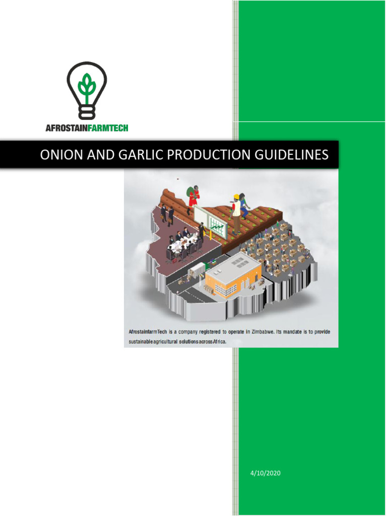 New Onion and Garlic Production Manual | PDF | Onion | Garlic