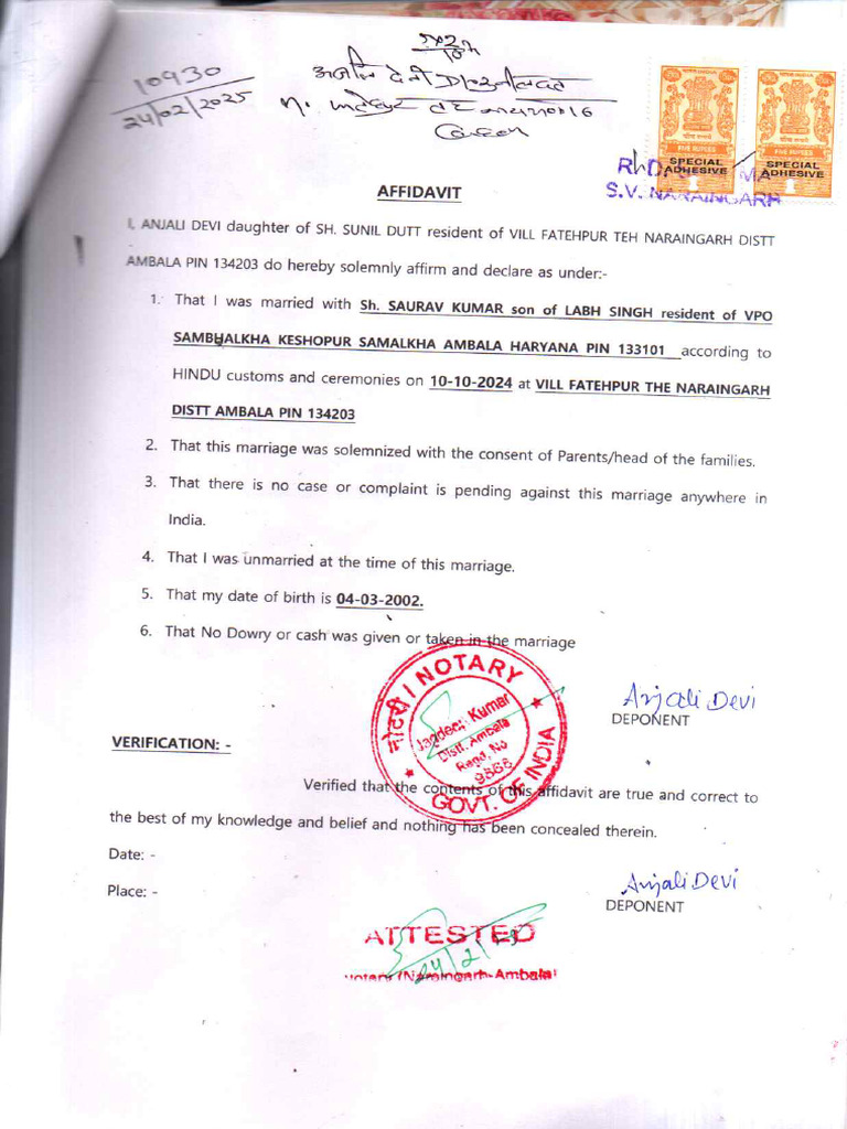 Anjali Affidevit | PDF