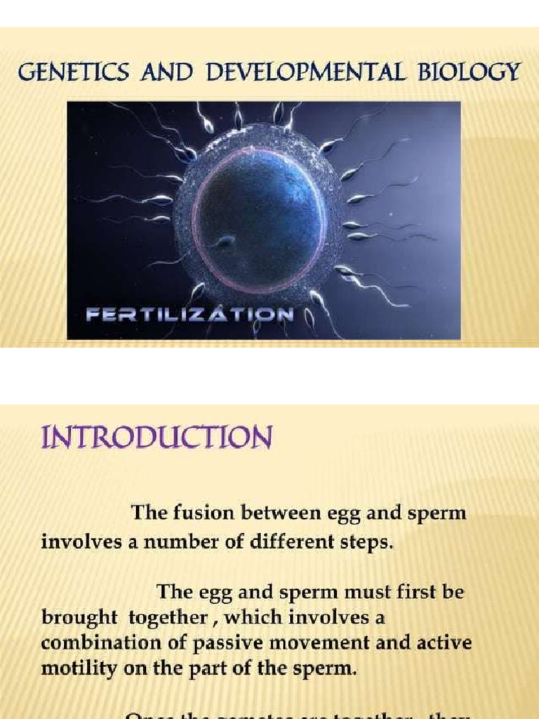 2 Fertilization | PDF