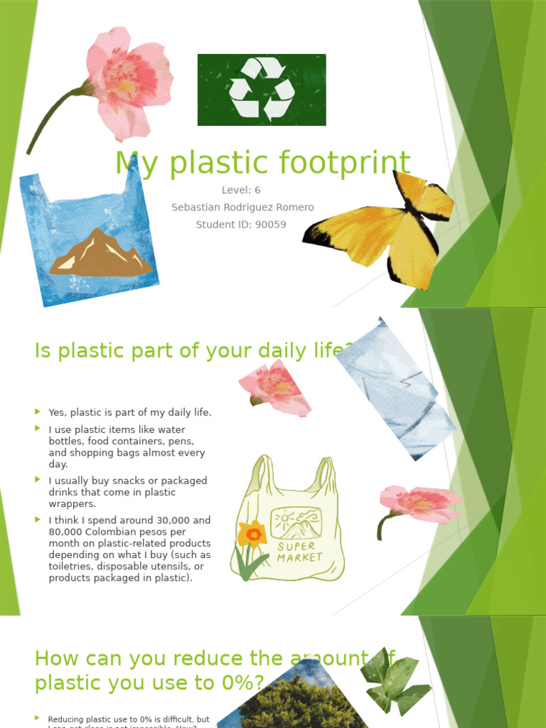 Reducing My Plastic Footprint | PDF