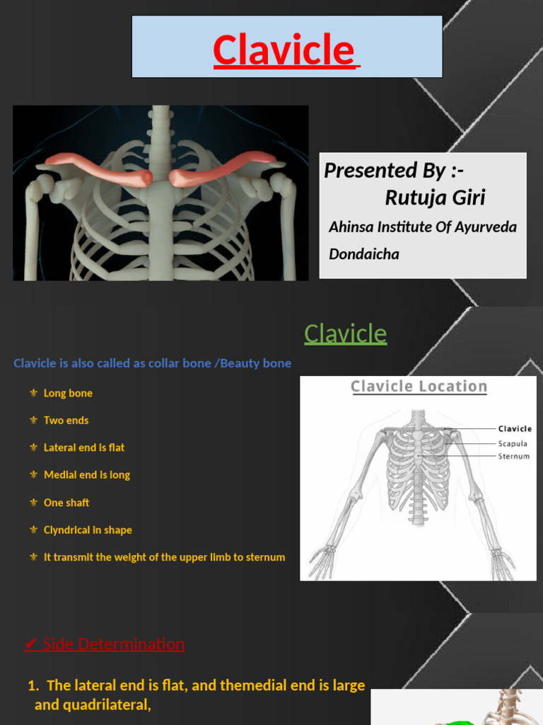 Clavicle 2.0 | PDF