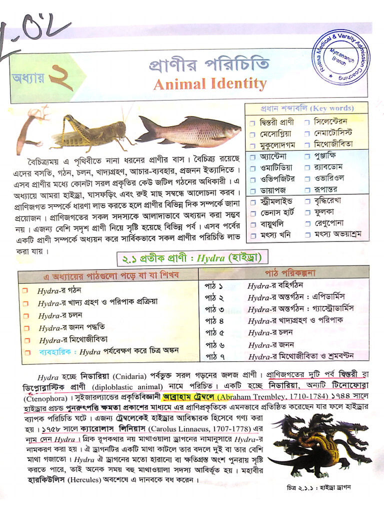 Z-02 Retina Mymensingh | PDF