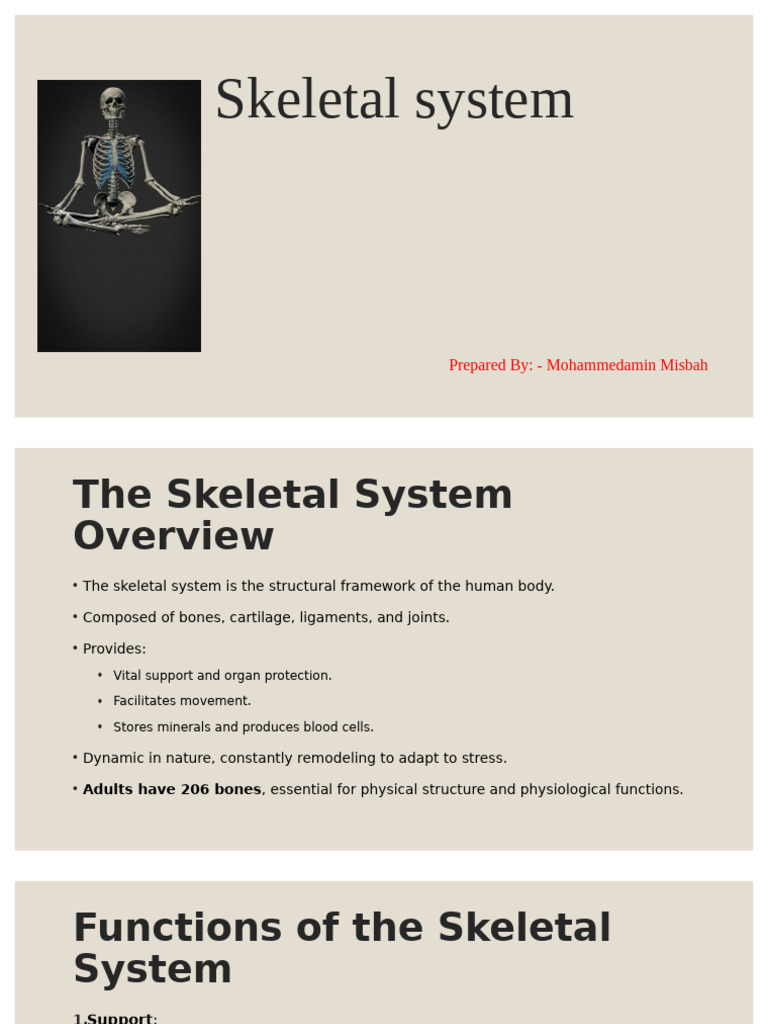 Comprehensive Guide to the Skeletal System | PDF | Foot | Anatomical ...