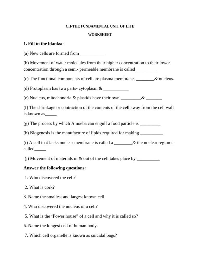 Cell Worksheet | PDF