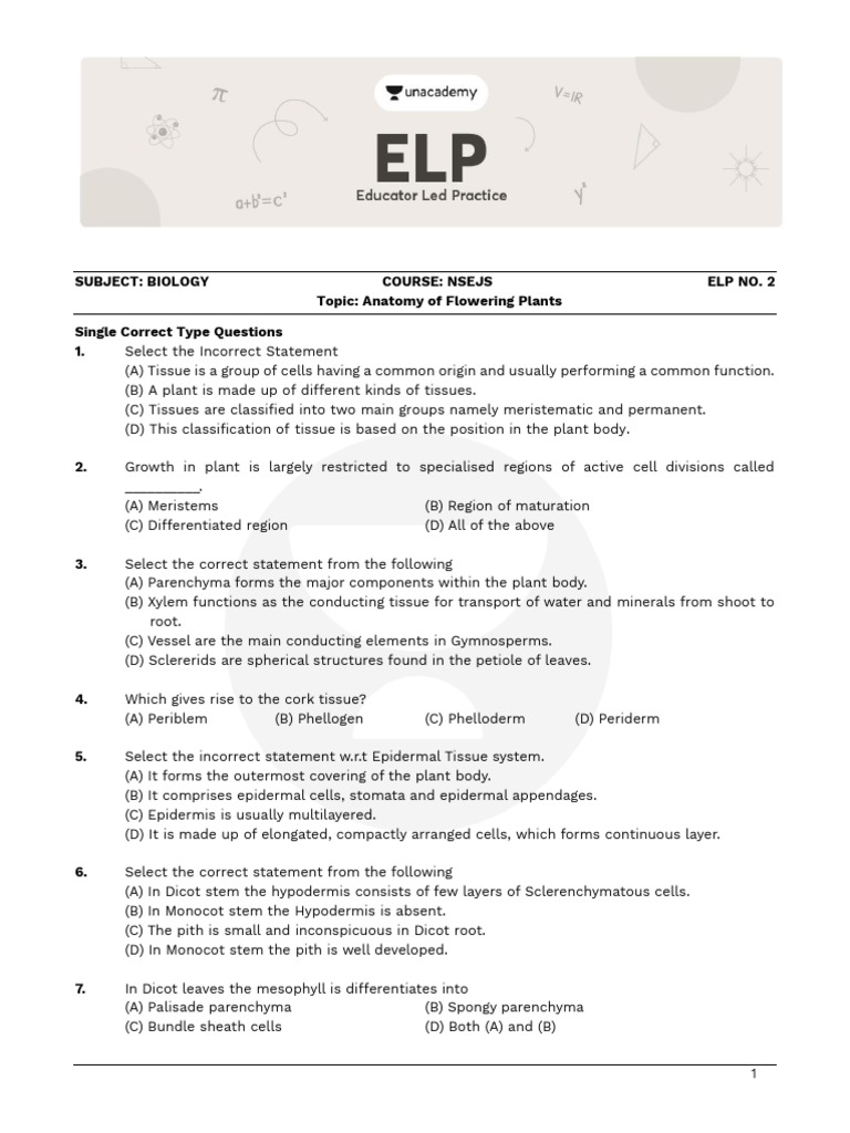 ELP-2 Anatomy of Flowering Plants Final 1753292578812 | PDF | Plant Stem | Tissue (Biology)