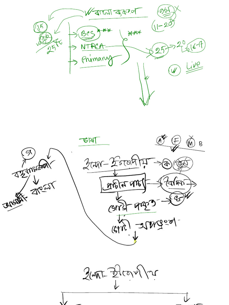 01 Class Bangla Grammar | PDF