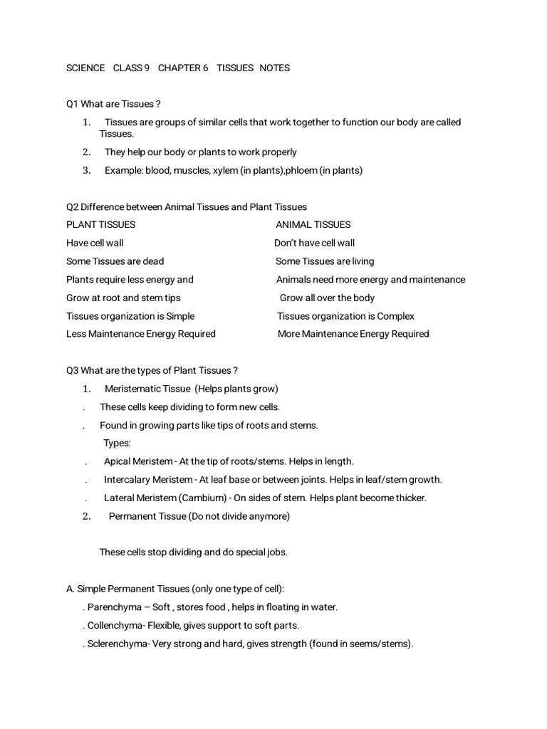 Science Class 9 Chapter 6 Tissues Notes | PDF | Tissue (Biology ...