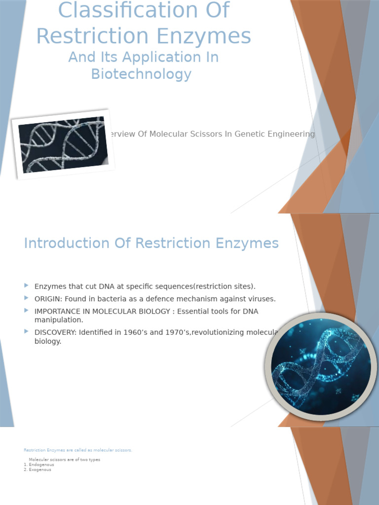 Classification of Restriction Enzymes | PDF | Restriction Enzyme ...