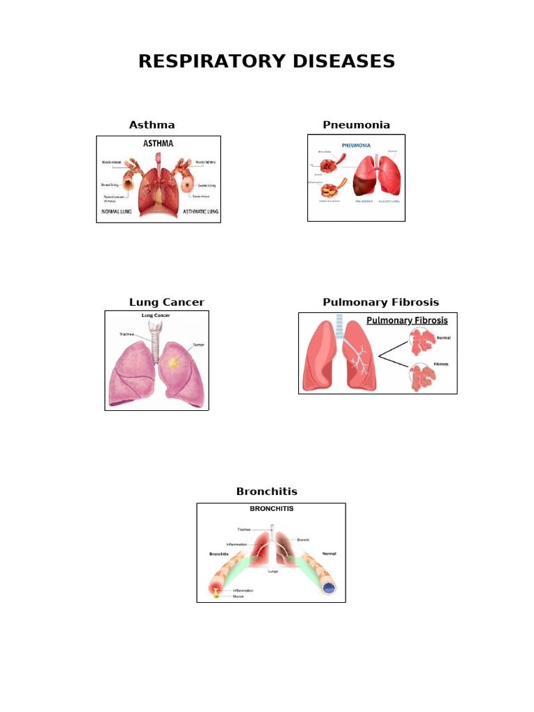 Overview of Respiratory and Circulatory Diseases | PDF