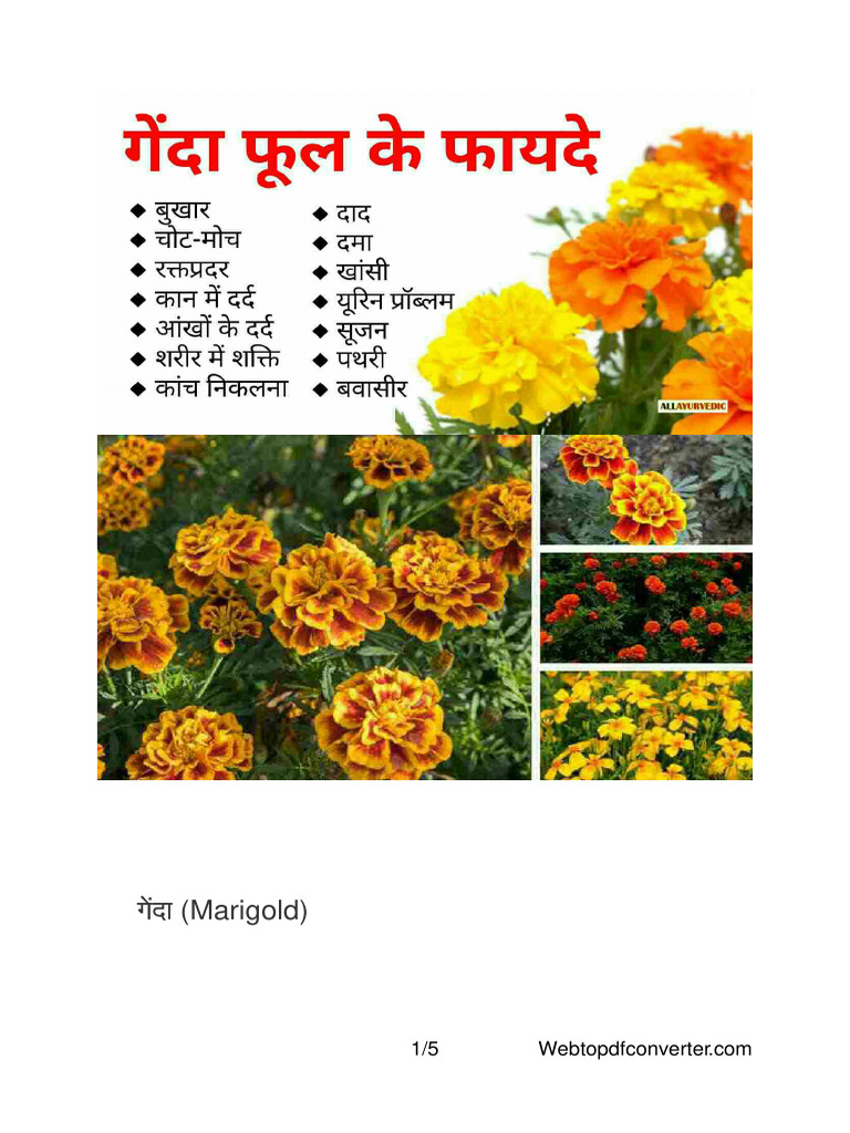Genda Fool | PDF