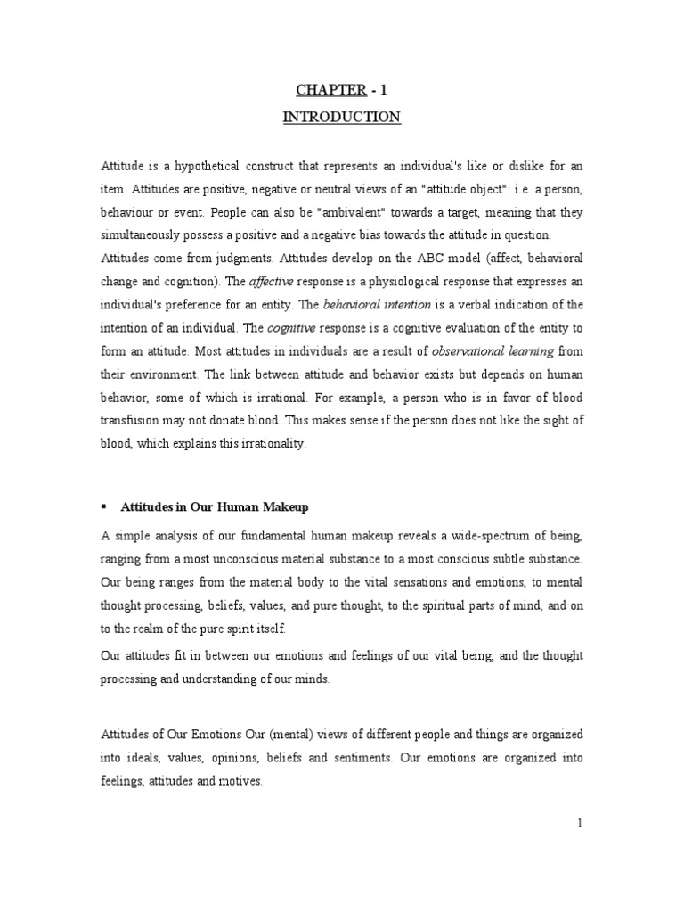 Attitude Report | PDF | Attitude (Psychology) | Emotions