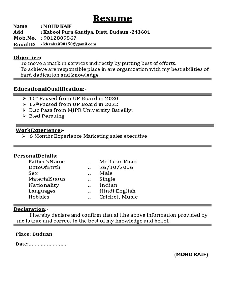 Kaif Resume | PDF