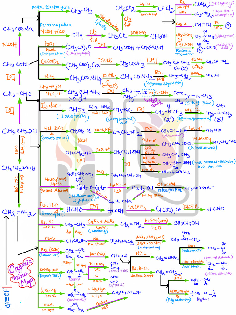 Organic Mind Map Udvash | PDF