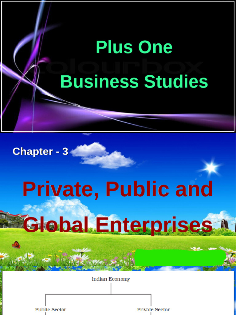 Private vs Public Sector Enterprises | PDF | Joint Venture | Public ...