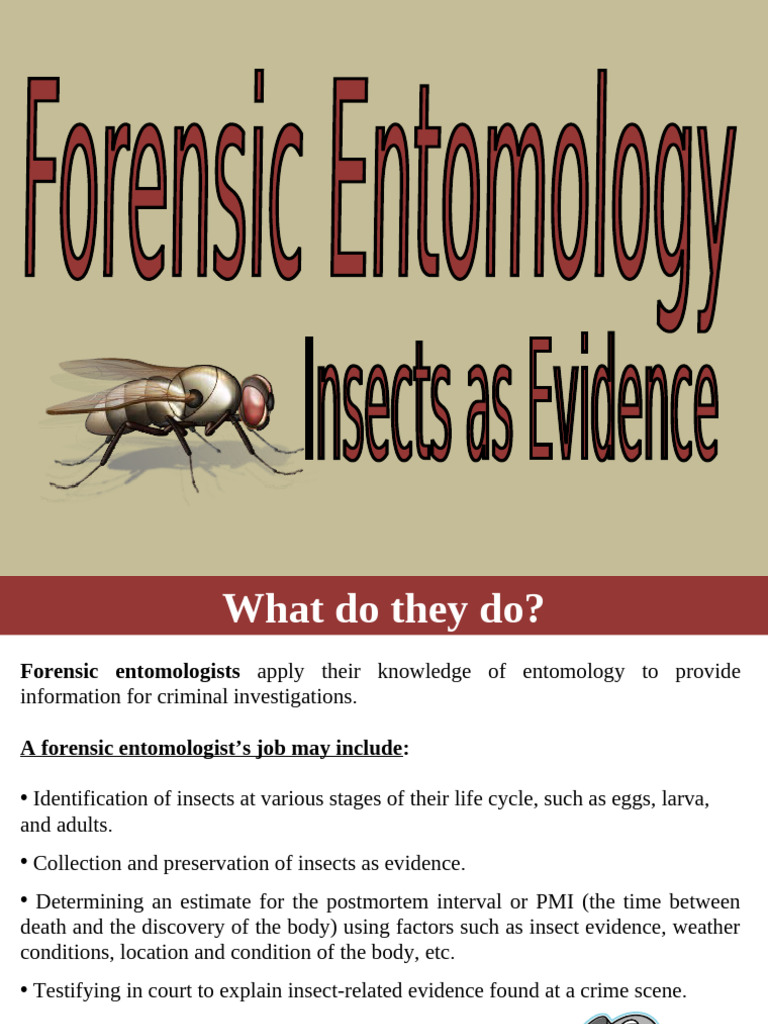 Forensic Entomologylifecycle | PDF | Zoology | Insects