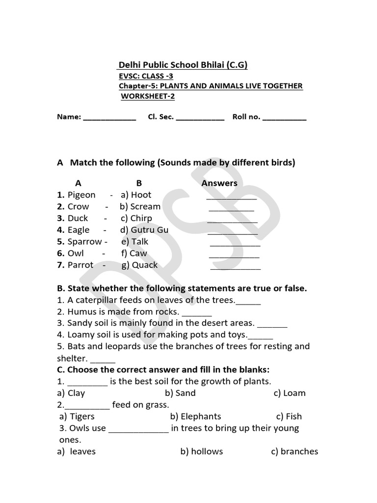 Class 3 Worksheet: Plants & Animals Together | PDF | Soil | Zoology