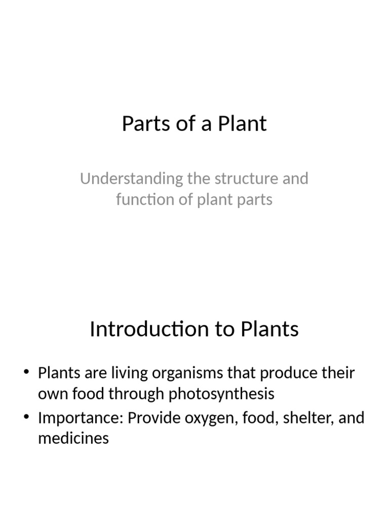 Parts of A Plant With Diagrams | PDF | Flowers | Plants