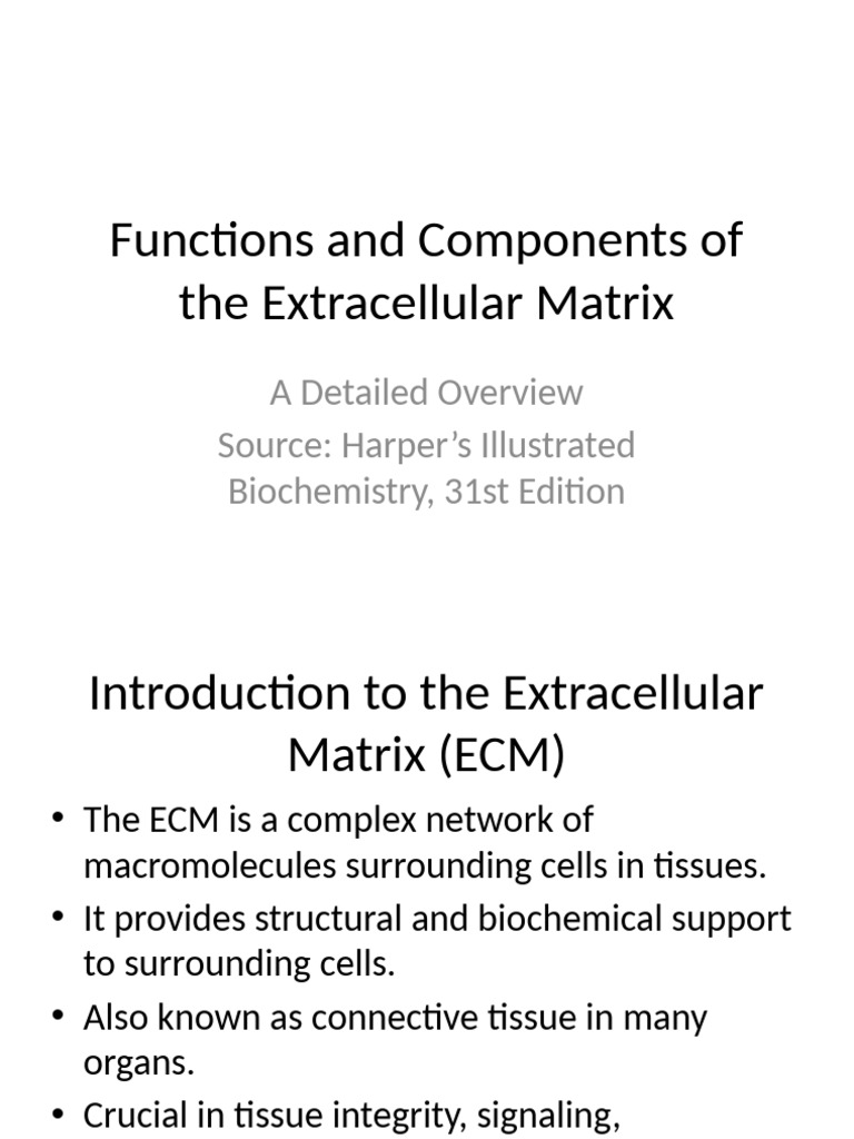 Functions and Components ECM (Summarised) | PDF | Extracellular Matrix ...
