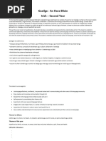 Irish Oral Exam Preparation Notes | PDF | Language Arts & Discipline