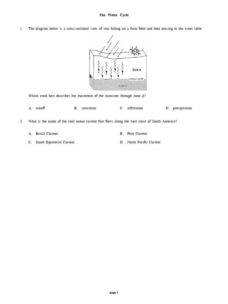 The Water Cycle Questions 4 | PDF | Water Cycle | Water