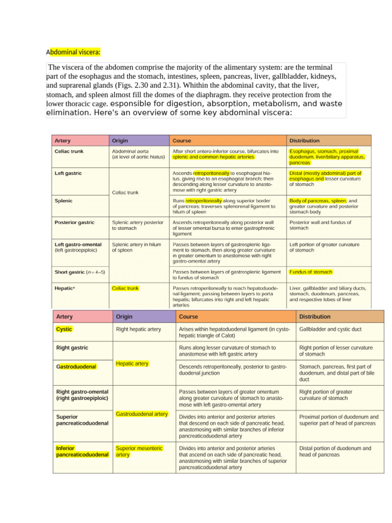 Overview of Abdominal Viscera Functions | PDF