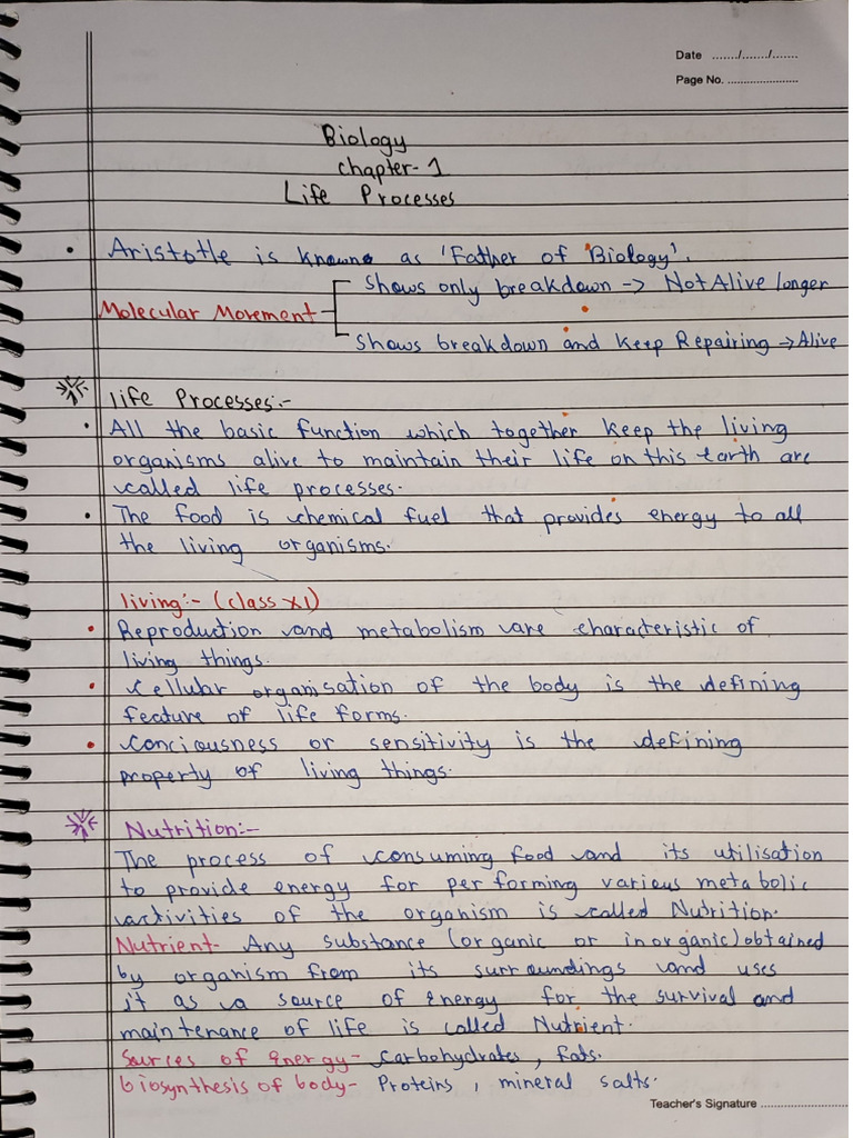 Class 10 Biology CH 1 | PDF