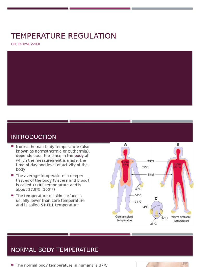 Temperature Regulation (1) - 121252 | PDF | Thermoregulation | Fever