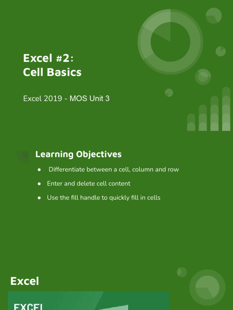 Excel #2: Cell Basics | PDF