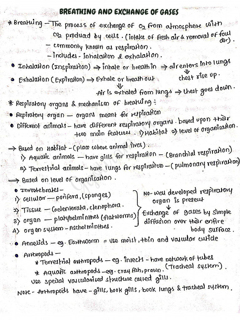 Beg Complete Pdf Pdf