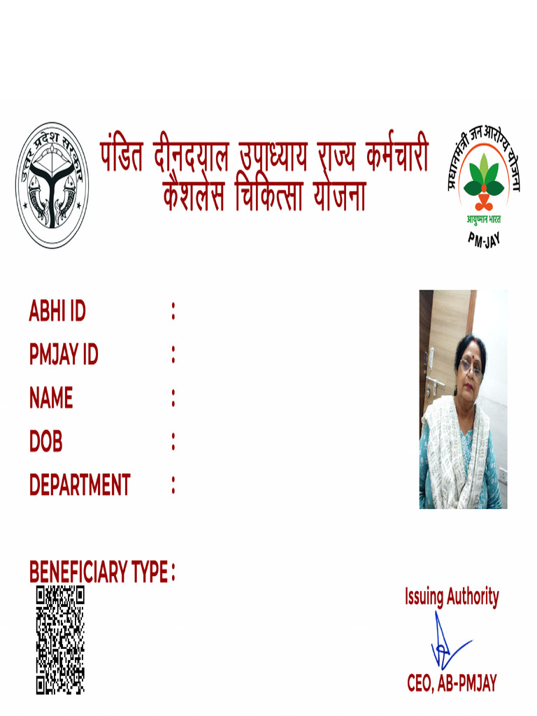 Meera Mishra Mrsd1bh11 | PDF