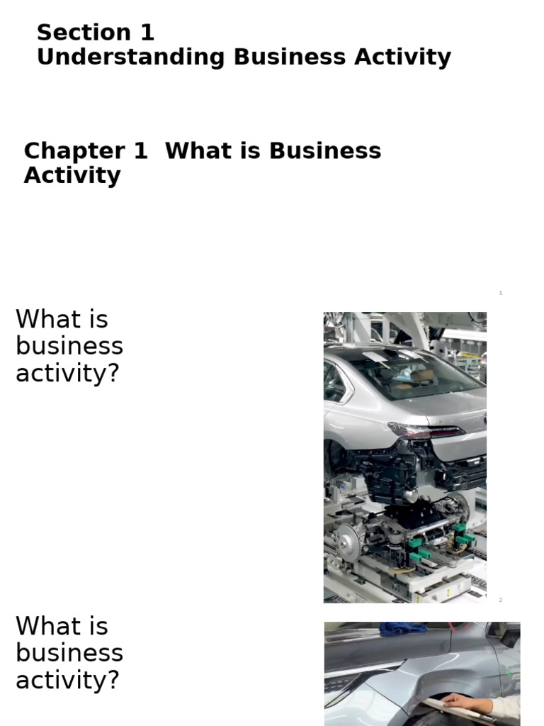 CIE Chapter 1 Business Activity | PDF | Labour Economics | Prices