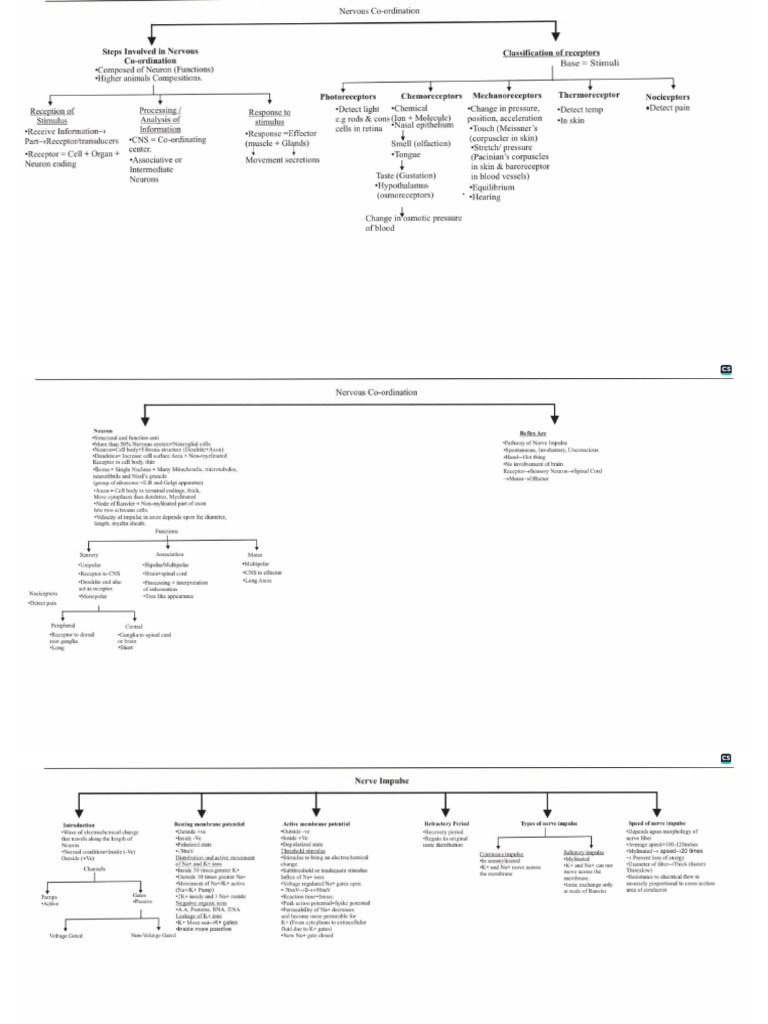 Chapter 17 Nervous Coordination | PDF