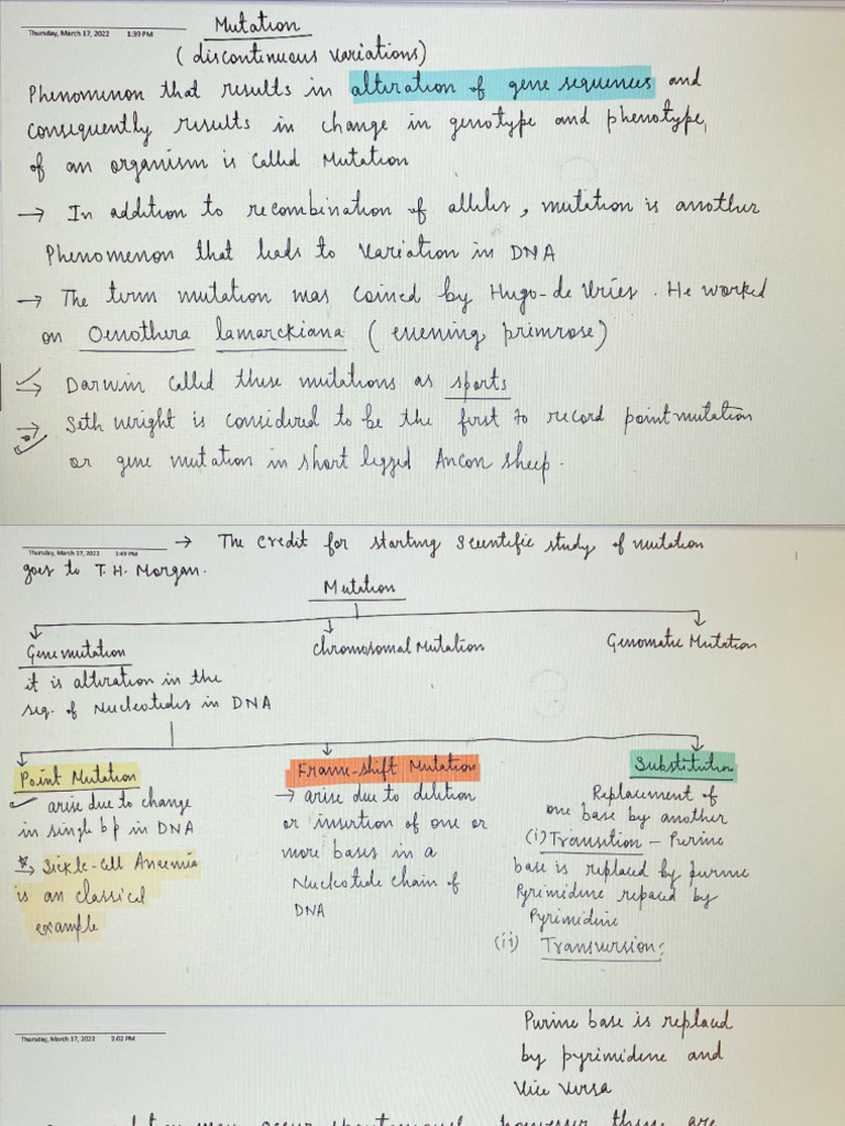 Molecular Basis of Inheritance 3 | PDF