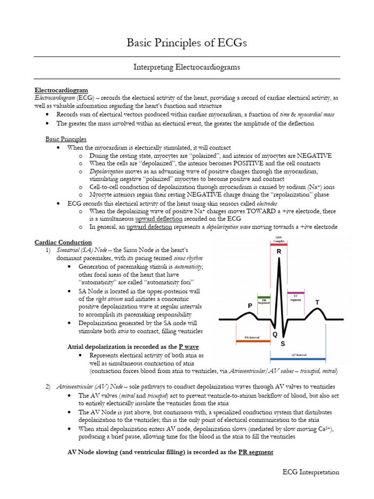 ECG Interpretation Notes | PDF | Electrocardiography | Heart