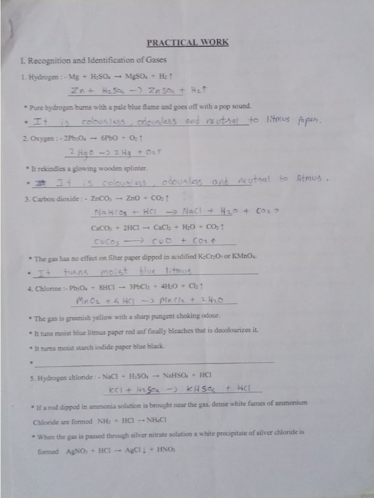 Practical Work | PDF