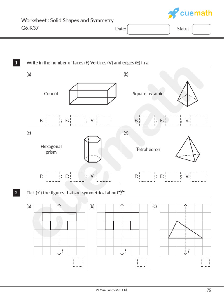 6th Grade Math Worksheet Solid Shapes and Symmetry | PDF