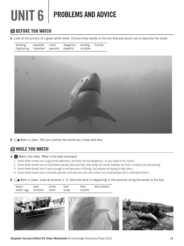 Empower Pre-Intermediate Video Activty Sheet Unit 06 | PDF | Sharks | Great White Shark